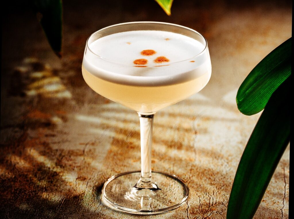 Vanilla Gin Sour Recipe | Rivi Gin