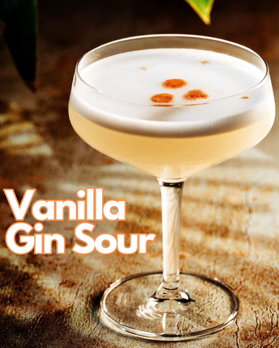 Vanilla Gin Sour Recipe | Rivi Gin
