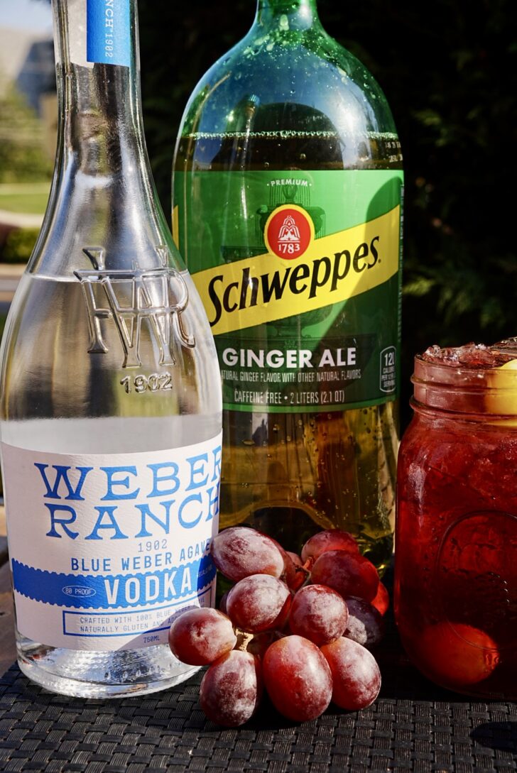 Transfusion Cocktail: A Refreshing Vodka Grape Drink That Is Easy to Make