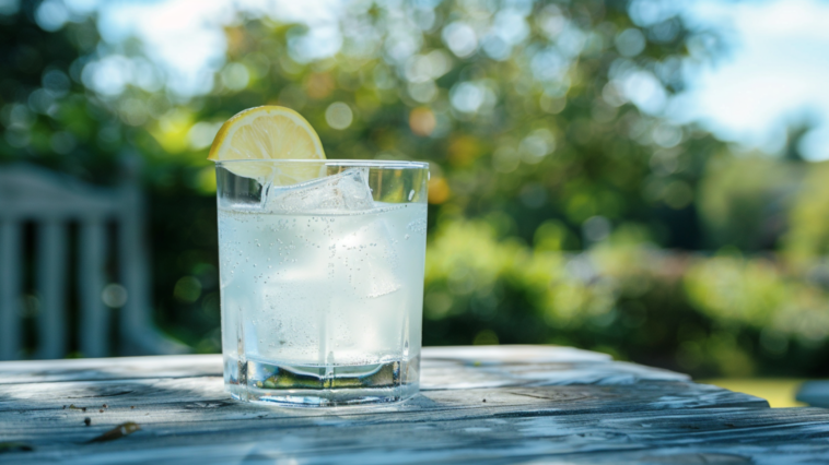 Summer Vodka Fizz Recipe