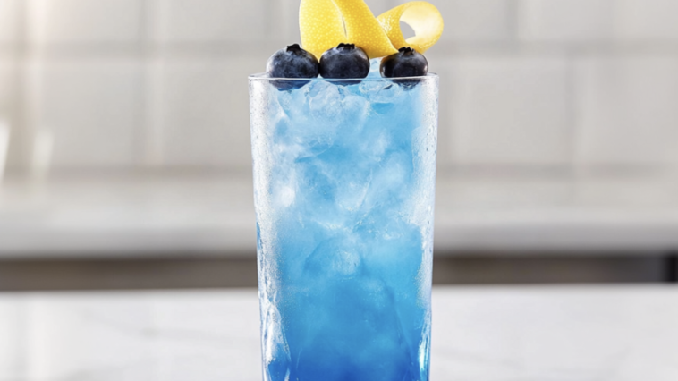 8 Best Blueberry Mocktails to Try
